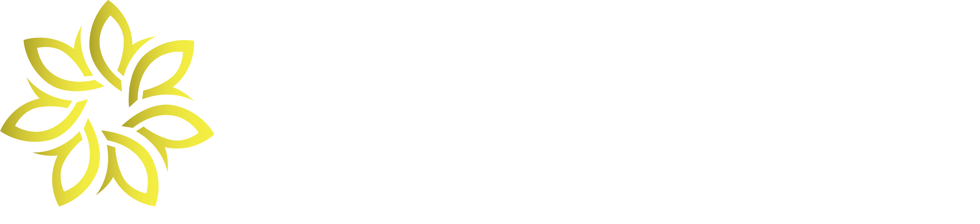 Home [riadmandana.com]